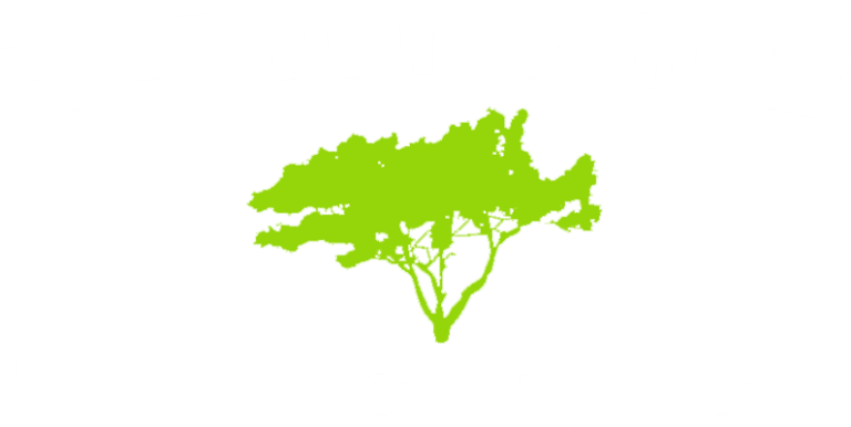 Local Tree Service In Pasadena, MD | Nationwide Tree Service