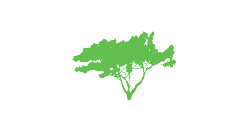 Local Tree Service In Pasadena, MD | Nationwide Tree Service
