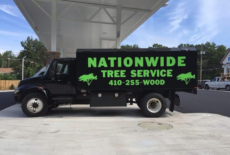 About - Nationwide Tree Service - Pasadena, MD